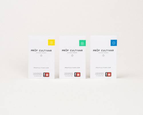 Electric Lettuce | Toking