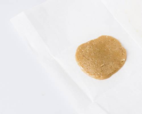 Electric Lettuce | Toking